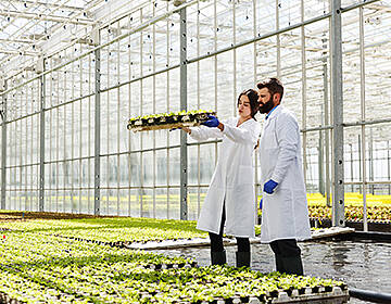 Antalya: The Fertile Heart of Turkish Agriculture